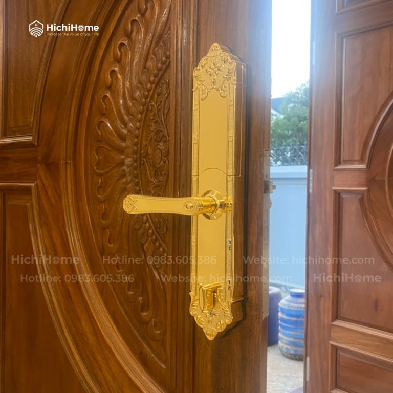 Khóa Cửa Điện Tử Tân Cổ Điển Kaimi DS101 Chính Hãng